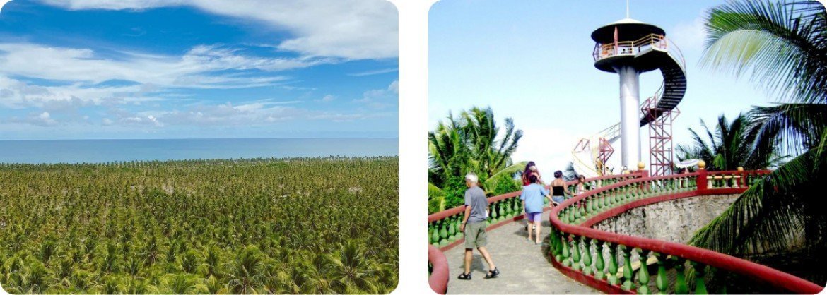 Um passeio inesquecível: Conheça as belezas da praia do Gunga ...