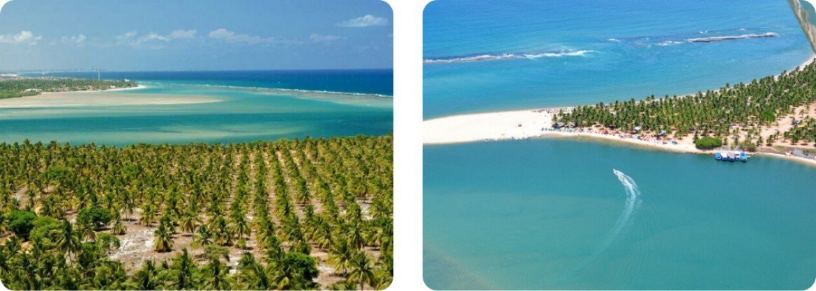 Um passeio inesquecível: Conheça as belezas da praia do Gunga ...